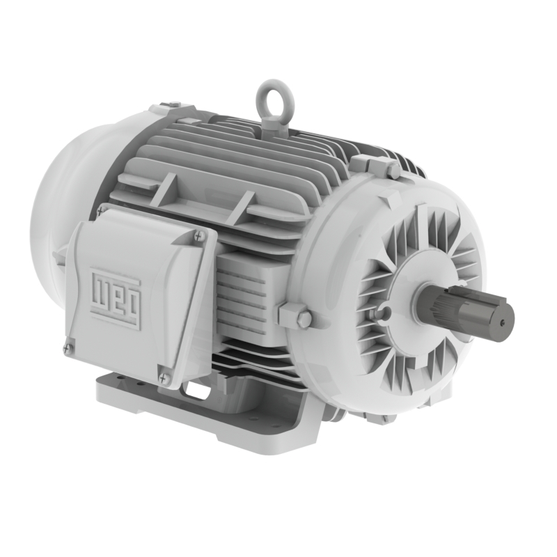 WEG HT050404NPW22 – Carson Electric Ltd.